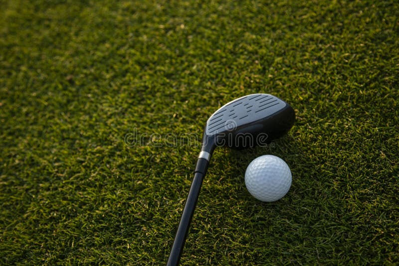Playing Golf Ball, Course on a Sunny Day Stock Image - Image of object ...
