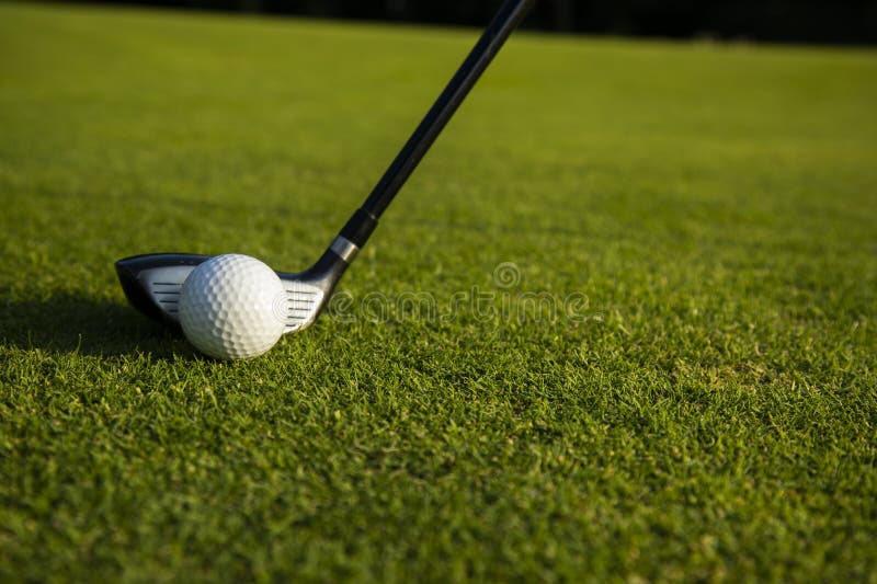 Playing Golf Ball, Course on a Sunny Day Stock Photo - Image of ball ...