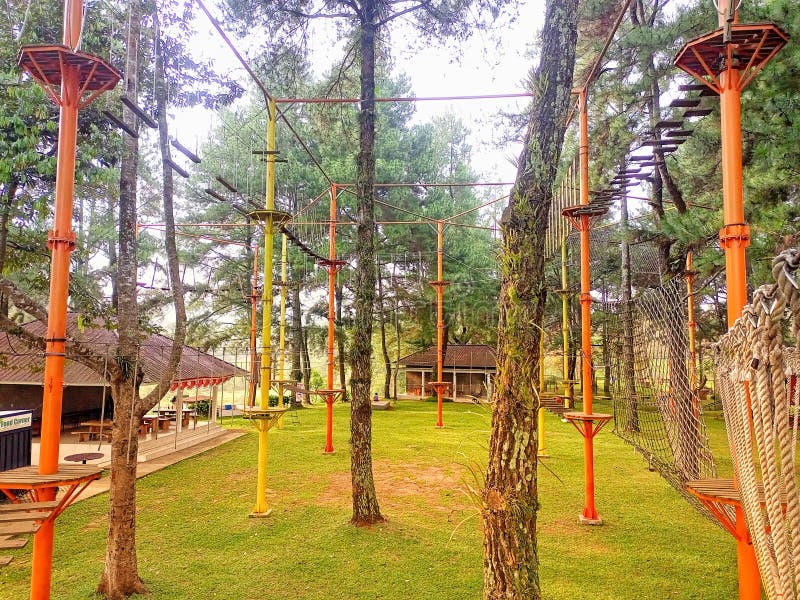 Playing ground in the park stock photo. Image of leisure - 256296224