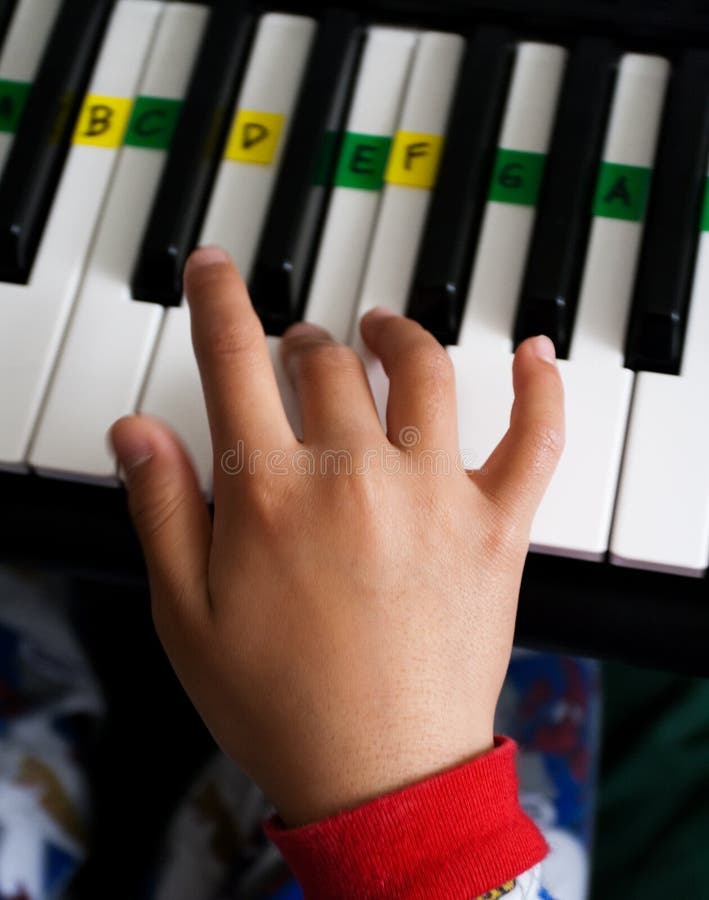 Playing keyboard stock photo. Image of music, learn, fingers - 8890046