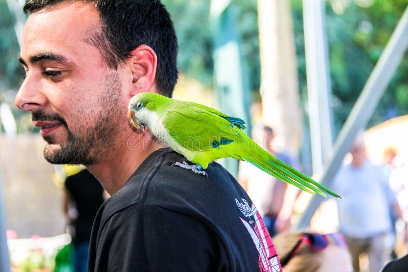 Man Playing with His Parrot. Editorial Photo - Image of city, playing ...