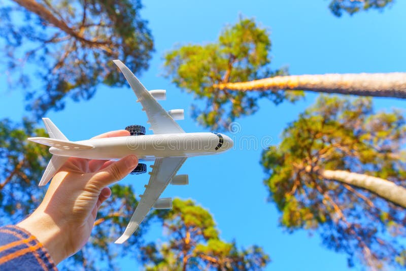 Playing with a Toy Aircraft in the Woods Stock Photo - Image of ...