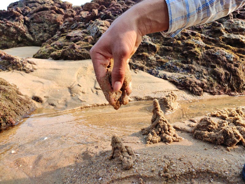Playing with wet sand stock photo. Image of hand, adventure - 208135042