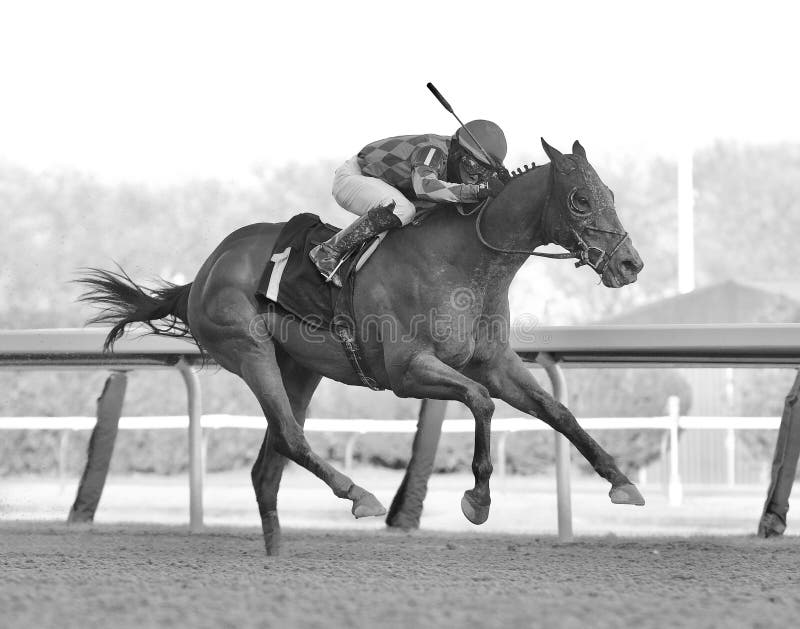 Manny Franco on Playwright stock photo. Image of america - 173515888