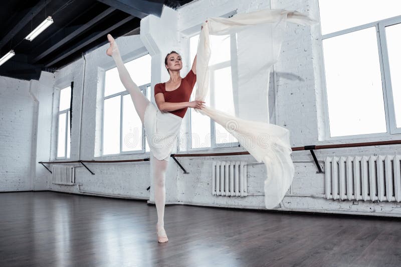 Attractive Skilled Ballerina Showing Her Great Skills Stock Photo ...