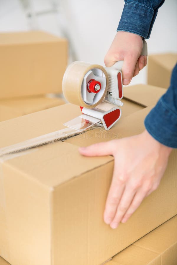 Pleasant Man Packing the Boxes Stock Photo - Image of property, move ...