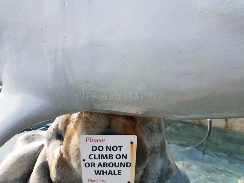 Please Do Not Climb Tree Sign on Rope and Tree and Leaves Stock Photo ...