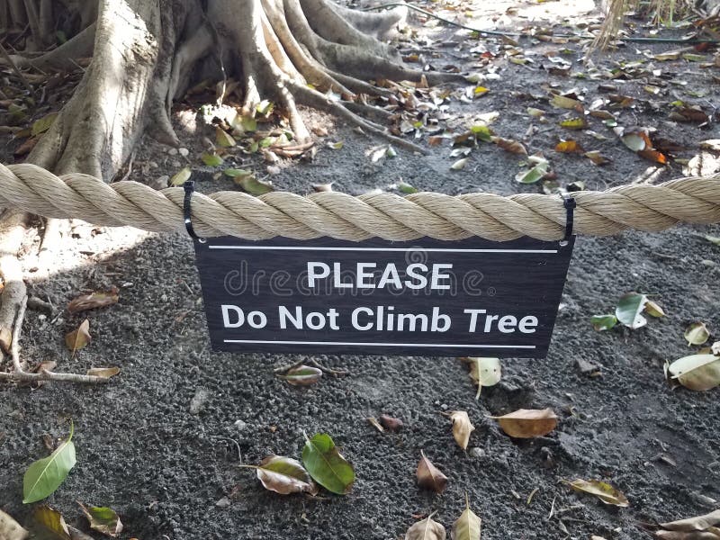 Please Do Not Climb Tree Sign on Rope with Tree Root Stock Photo ...