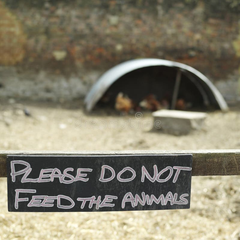 Please Do Not Feed the Animals Sign. Conceptual Image Shot Stock Image ...