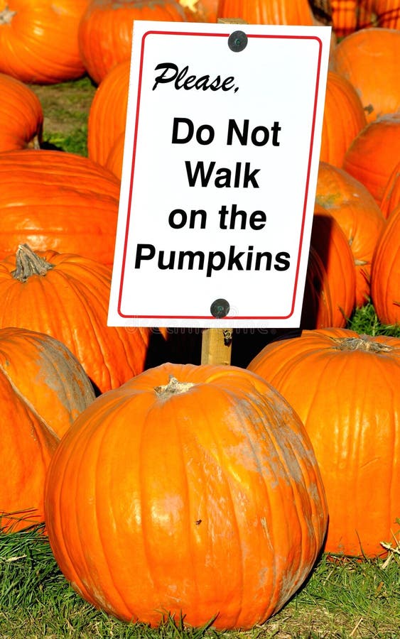 Please Do Not Walk on the Pumpkins Sign Stock Image - Image of buyer ...