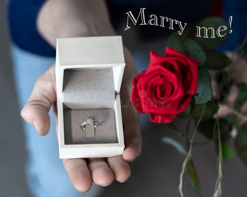 Please marry me stock photo. Image of design, plant - 241101958
