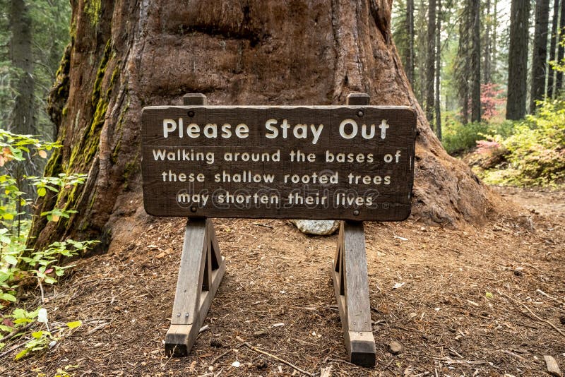 Please Stay Out Sign in Merced Grove Stock Photo - Image of plant ...