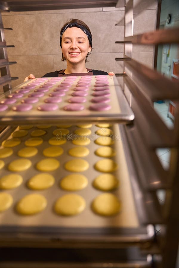 Pleased Baker is Preparing Batch of Biscuits for Baking Stock Photo ...