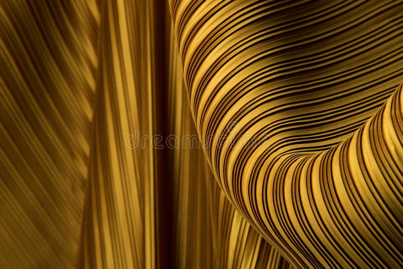 Pleated Fabric in Long Line Drape with Shadow Stock Image - Image of ...