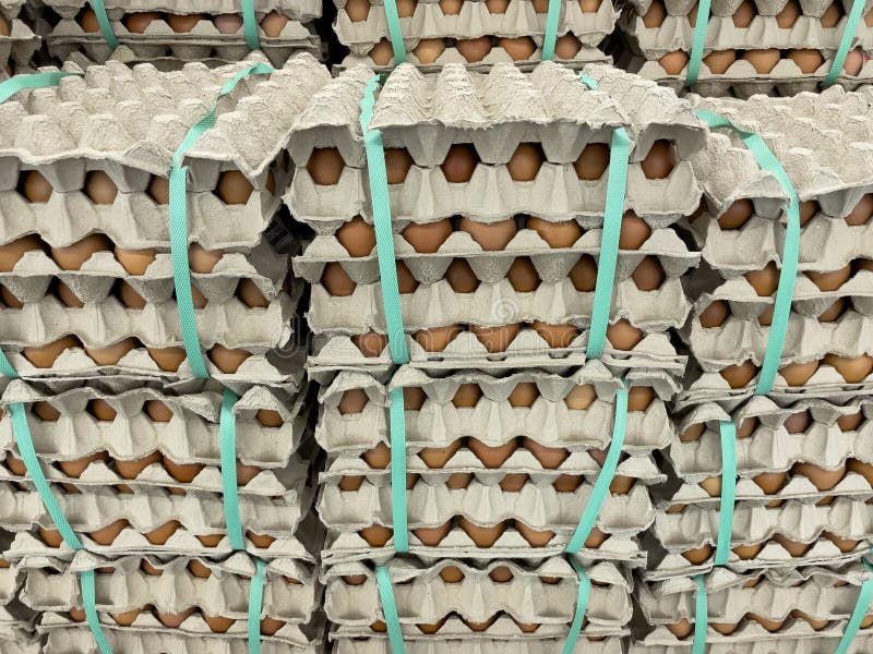 Plenty of Eggs are Packed in Protective Trays To Prevent Them from ...