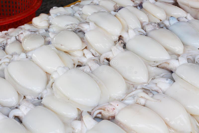 Plenty of Fresh Cuttlefish / Squid at the Market for Sell Stock Photo ...