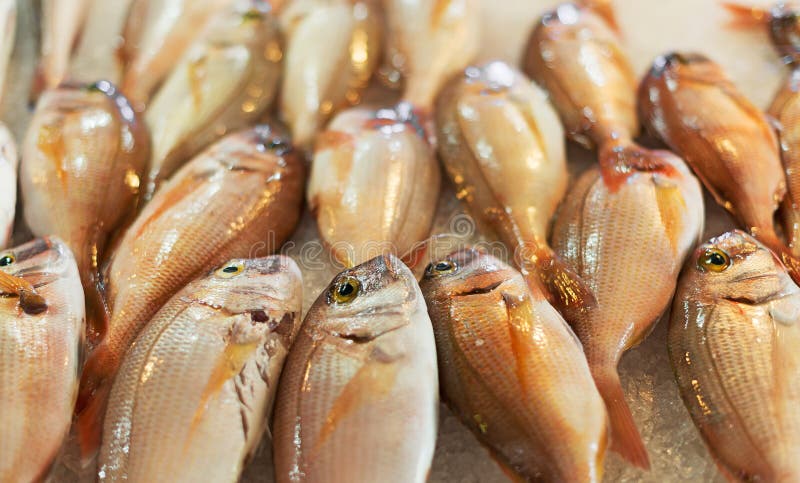 Plenty of Fresh Mediterranean Fish. Stock Image - Image of delicious ...