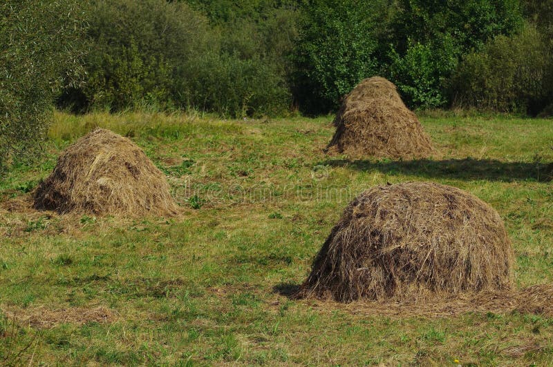 Hayrick stock image. Image of country, bright, field - 99094705