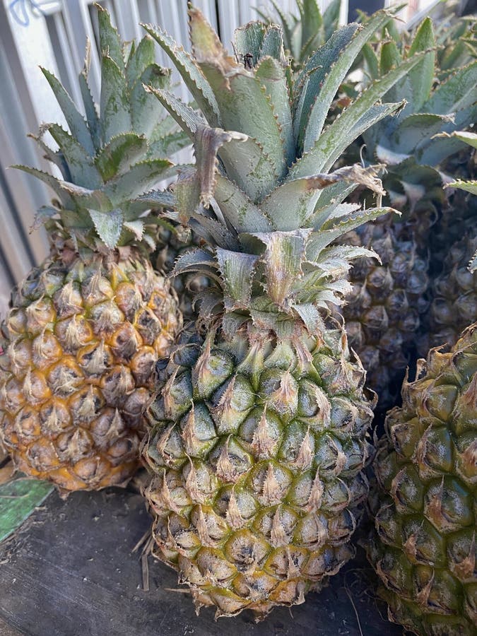 Pineapples on the table stock image. Image of green - 277694311