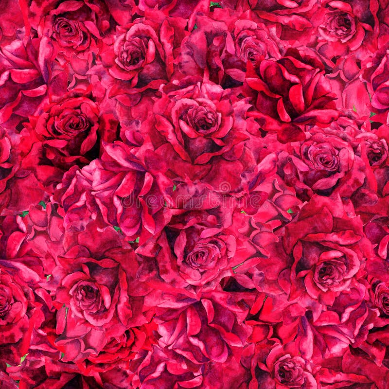 Plenty Red Natural Roses Seamless Background. Watercolor Stock Image ...