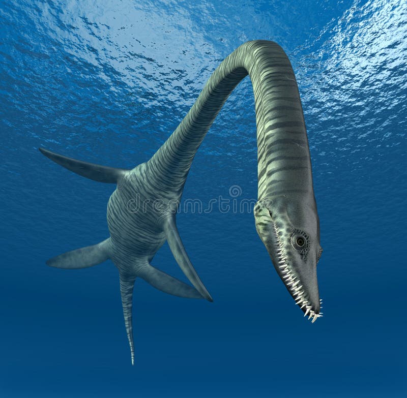 Plesiosaur Elasmosaurus stock illustration. Illustration of powerful ...