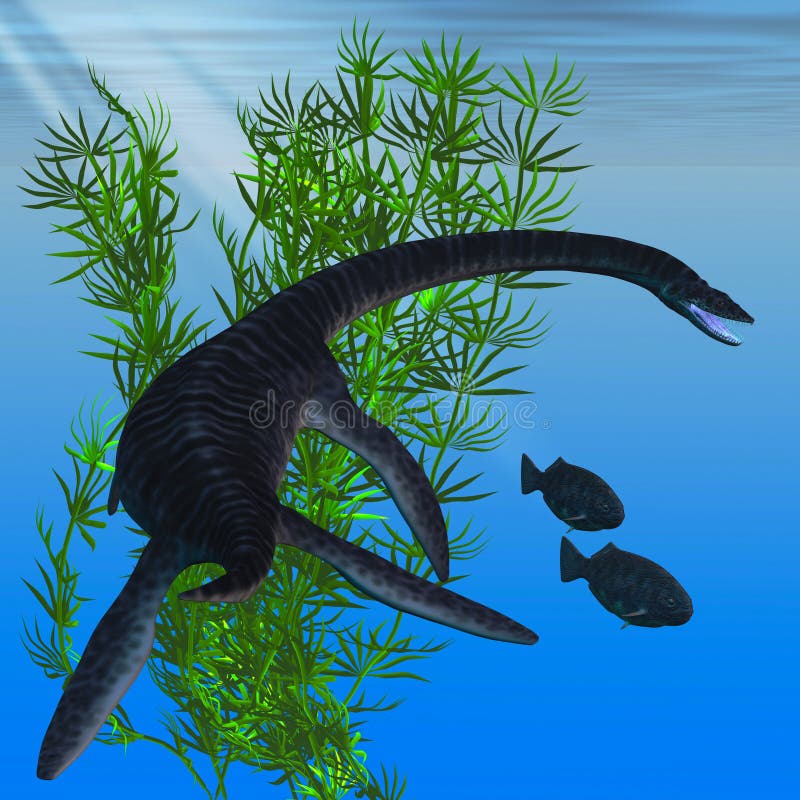 Plesiosaurus stock illustration. Illustration of paddles - 25649336