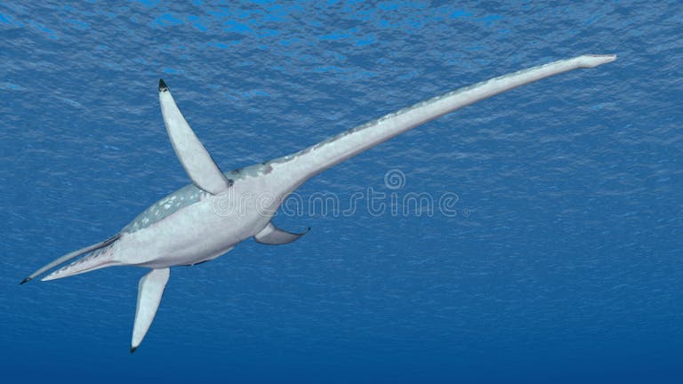 Prehistoric Marine Reptile Illustration Stock Illustrations – 892 ...