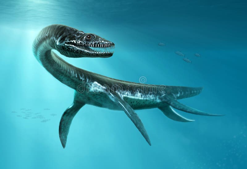 Plesiosaurus Stock Illustrations – 897 Plesiosaurus Stock Illustrations ...