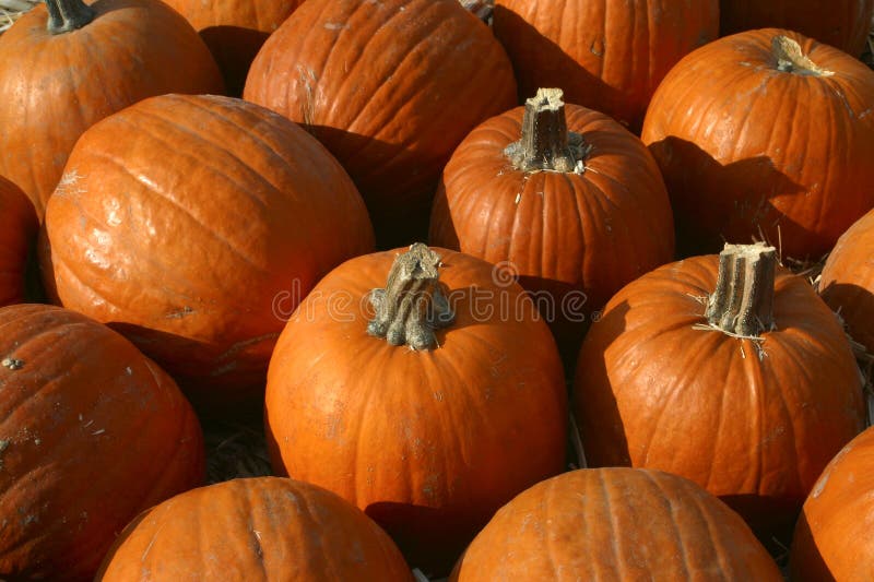 Pletora Colorida Dos Vegetais Isolada No Branco Imagem de Stock ...