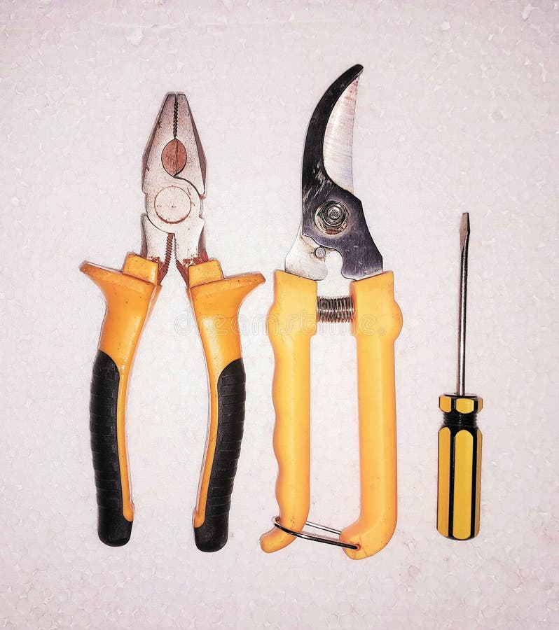 Pkanting Stock Photos - Free & Royalty-Free Stock Photos from Dreamstime