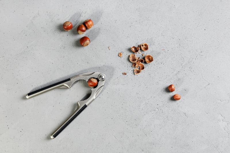 Pliers for Splitting Nut Shells, Whole and Divided of Hazelnuts, in ...