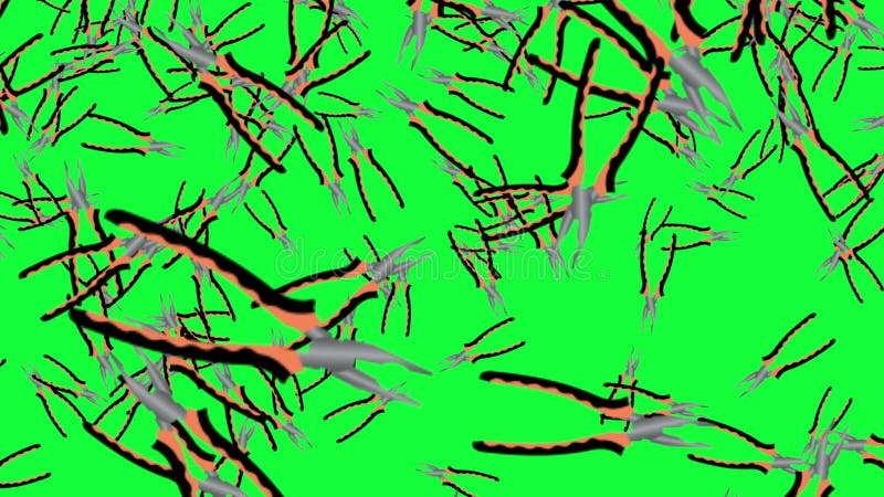 Hammer Tools Group Animation on Green Screen Chroma Key , Graphic ...