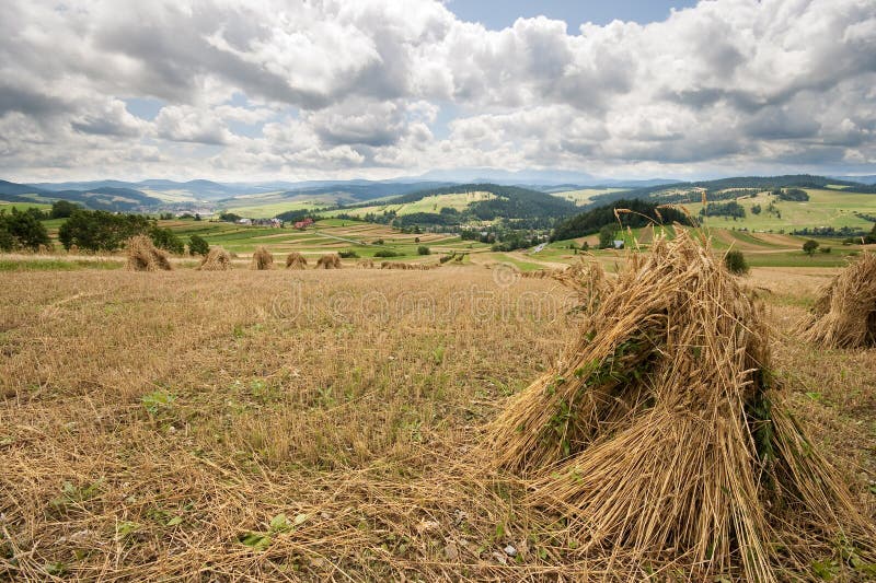 Pliki Siano Z Panoramicznym Widok Pieniny Obraz Stock - Obraz złożonej ...