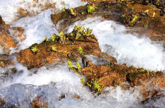 Plitvice lakes stock image. Image of watercourse, herb - 23060651