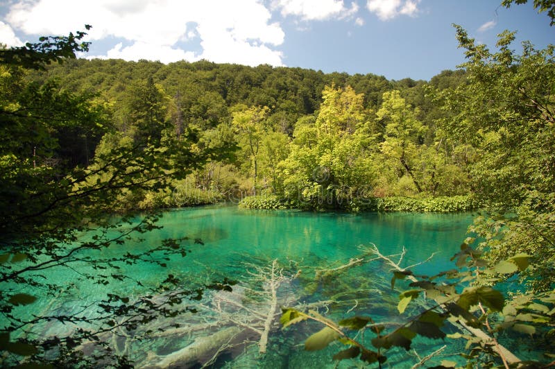 Plitvice lakes 6 stock photo. Image of trees, woods, park - 12656412