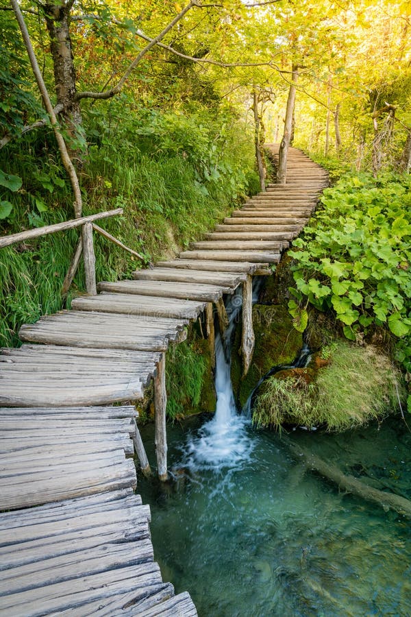 Plitvice Lakes National Park Stock Photo - Image of evening, lakes ...