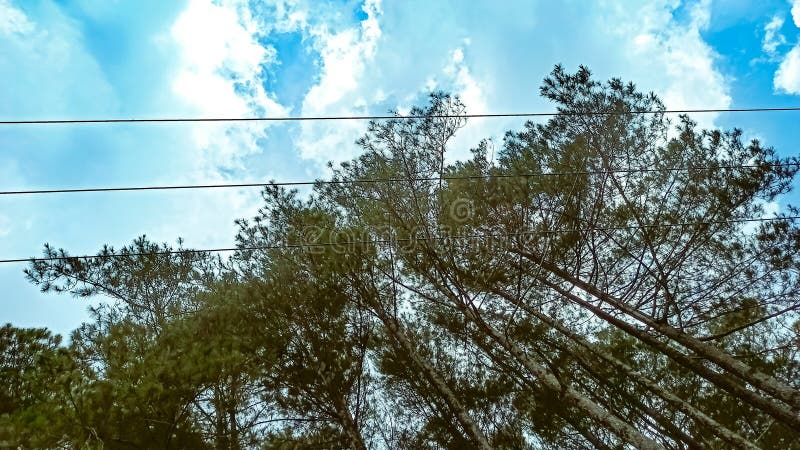 Pln Power Lines Stock Photos - Free & Royalty-Free Stock Photos from ...