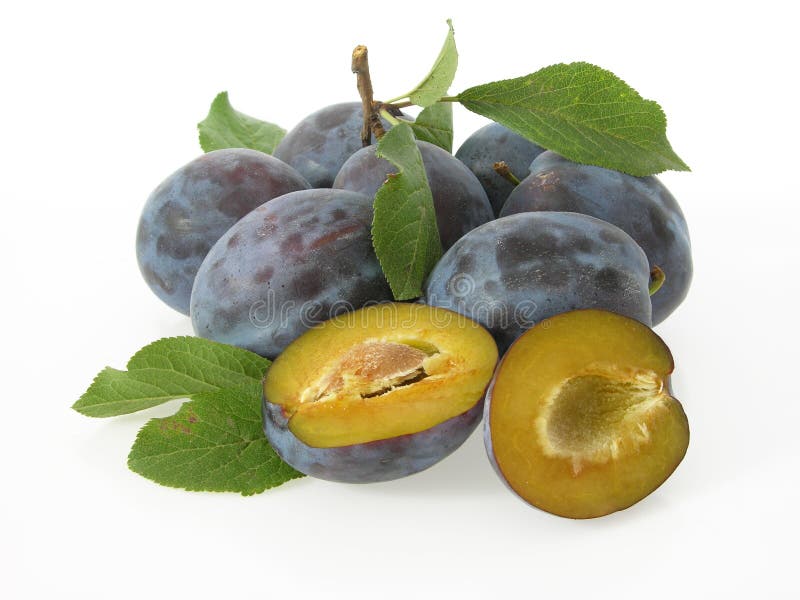 Plomb de quetsche photo stock. Image du groupe, lames - 18572772