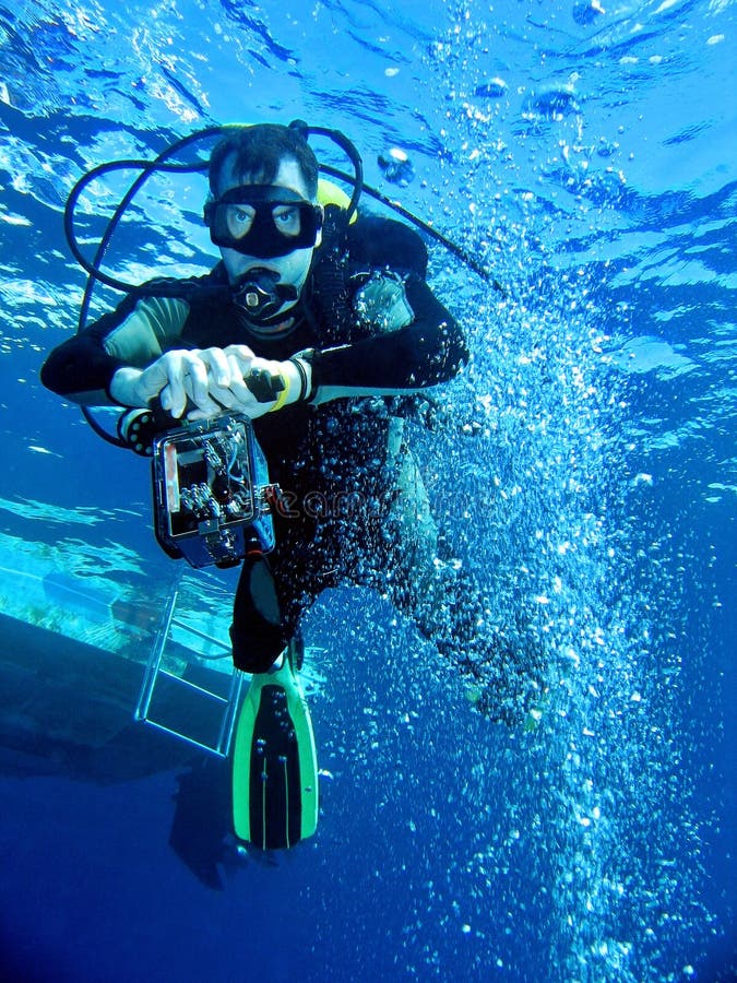 Le Plongeur Autonome Nage Avec La Tortue Verte Photo stock - Image du ...