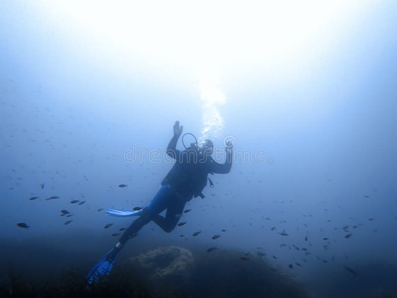 Plongeur Autonome Et Poissons Sous-marins Photo stock - Image du bleu ...