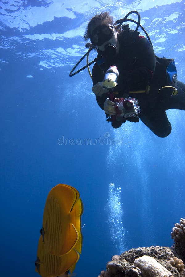 Plongeur Autonome - Photographe Sous-marin Photo stock - Image du ...