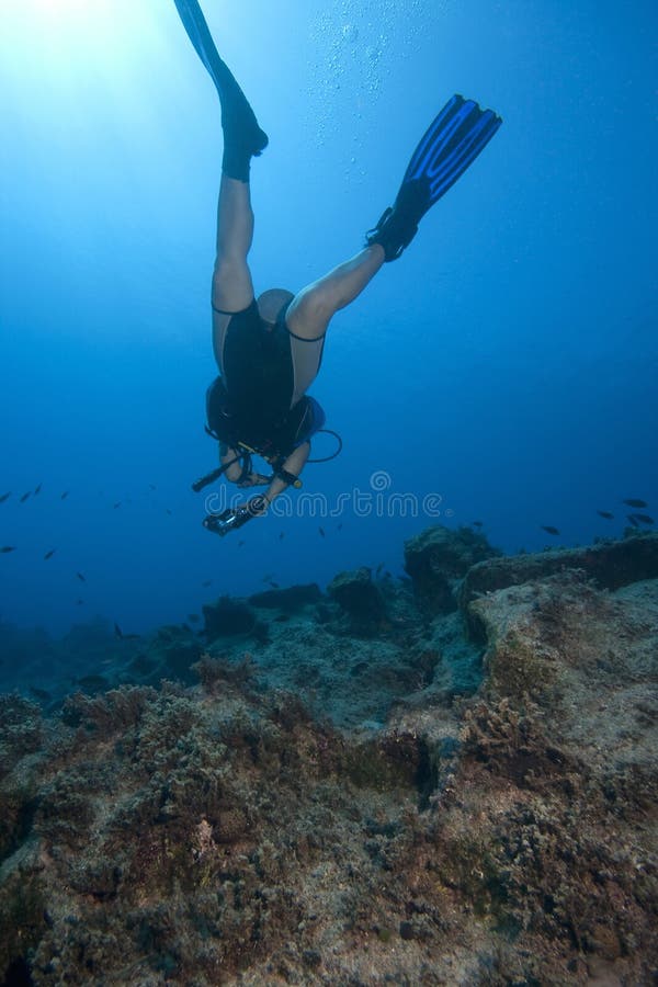 Plongeur sous-marin image stock. Image of seawater, bleu - 7764739