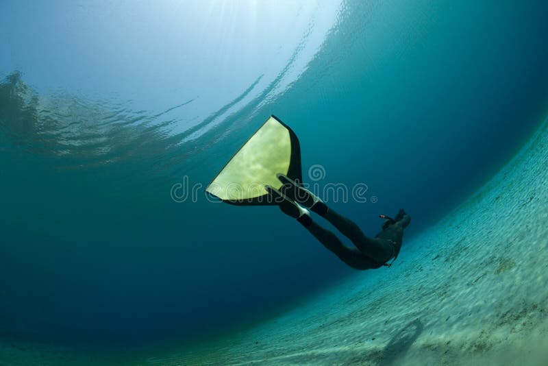 Plongeur sous-marin photo stock. Image du natation, plongeur - 5601038