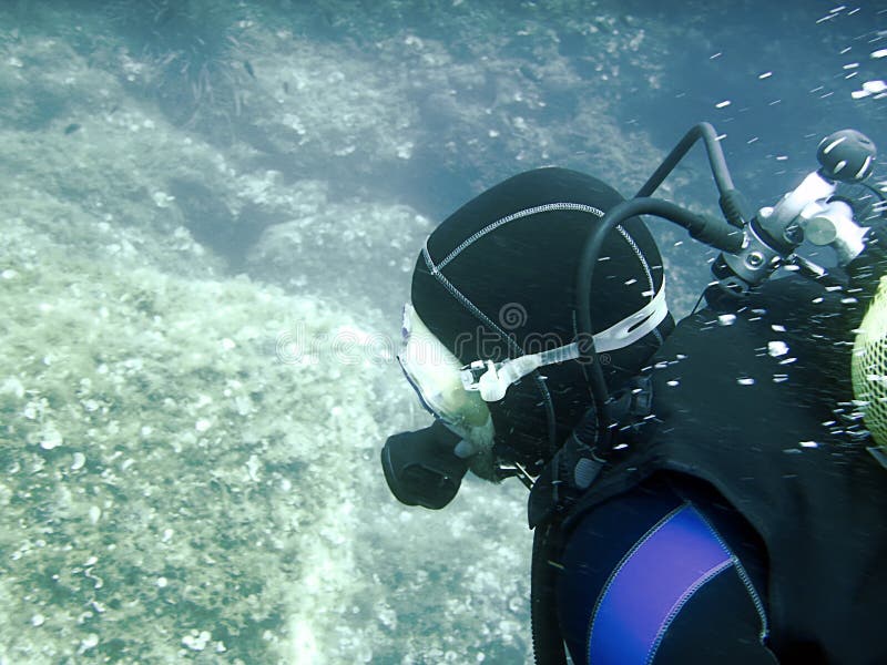 Plongeur Sous-marin En Monde Sous-marin Photo stock - Image du ...