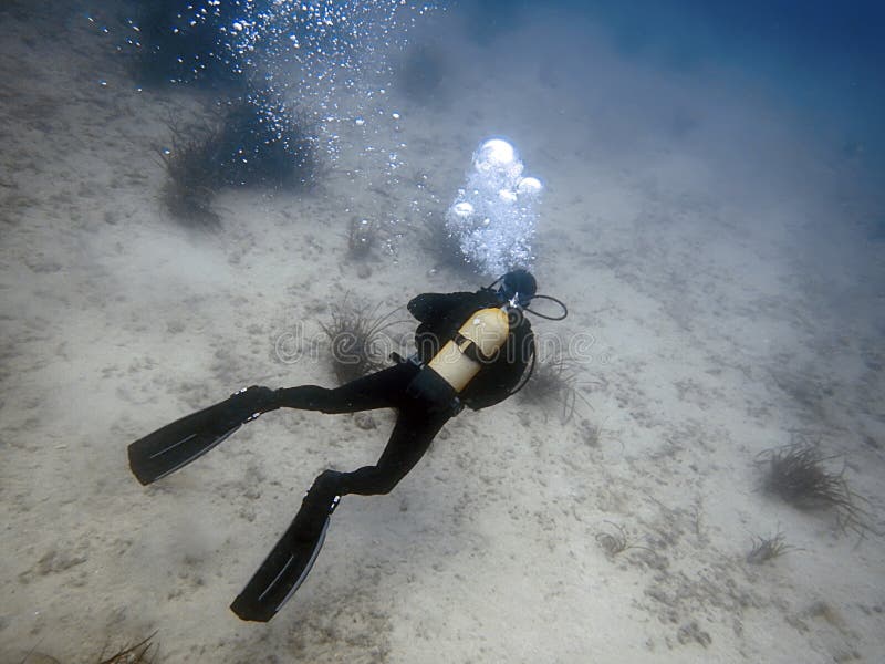 Plongeur Sous-marin En Monde Sous-marin Photo stock - Image du récif ...