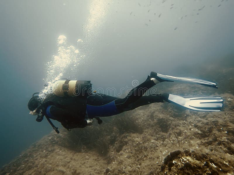 Plongeur Sous-marin En Monde Sous-marin Image stock - Image of lumière ...