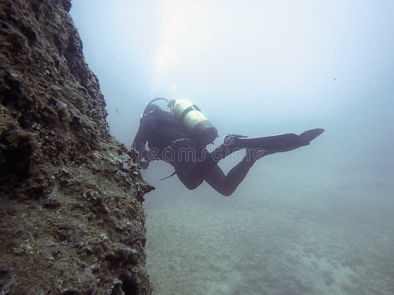 Plongeur Sous-marin En Monde Sous-marin Photo stock - Image du piqué ...