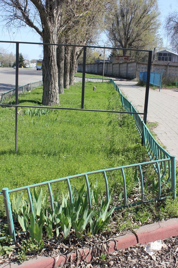 Plot of Land Enclosed with Metal Guarding Stock Image - Image of ...