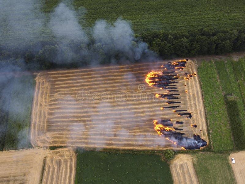 Plot of Land with Straw, Fire in the Field, Burning of Straw Residues ...