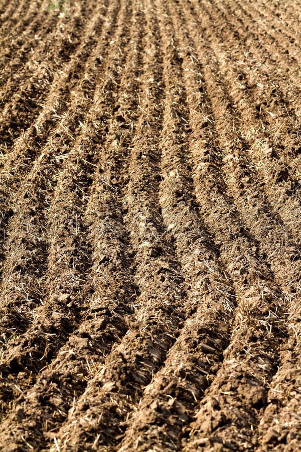 Plough stock image. Image of nature, farmland, sand, furrow - 29033225
